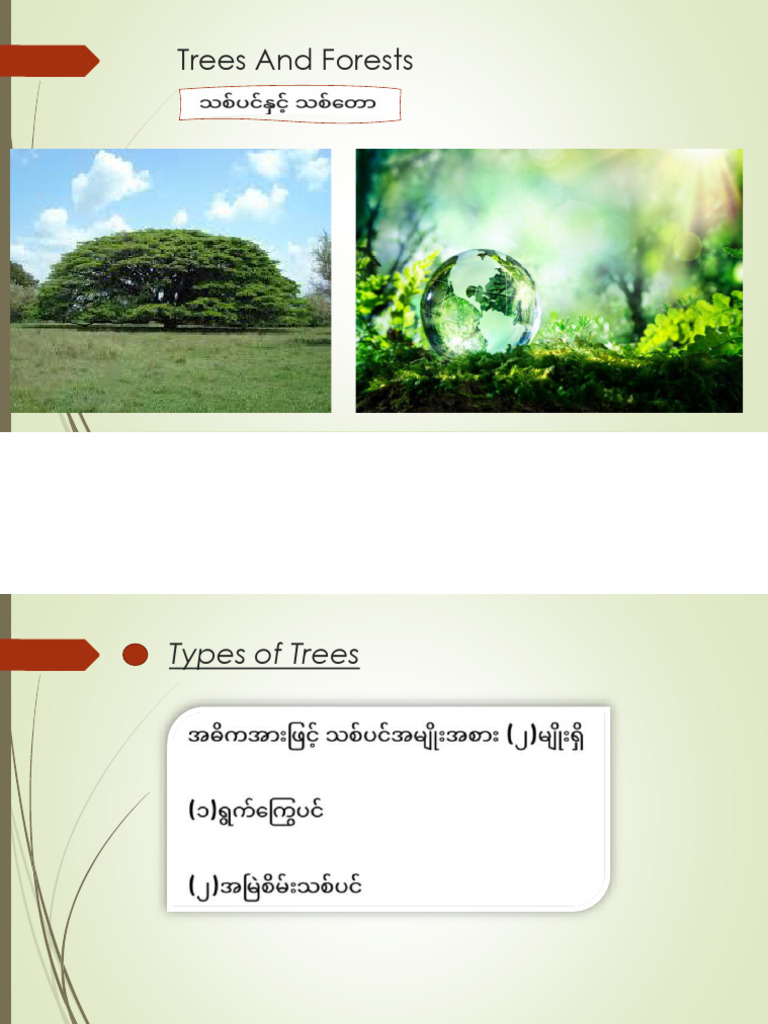 Trees and Forests | PDF