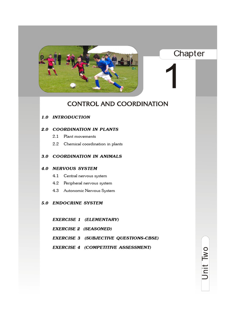 BIO - Control and Coordination - CBSE | PDF | Neuron | Axon