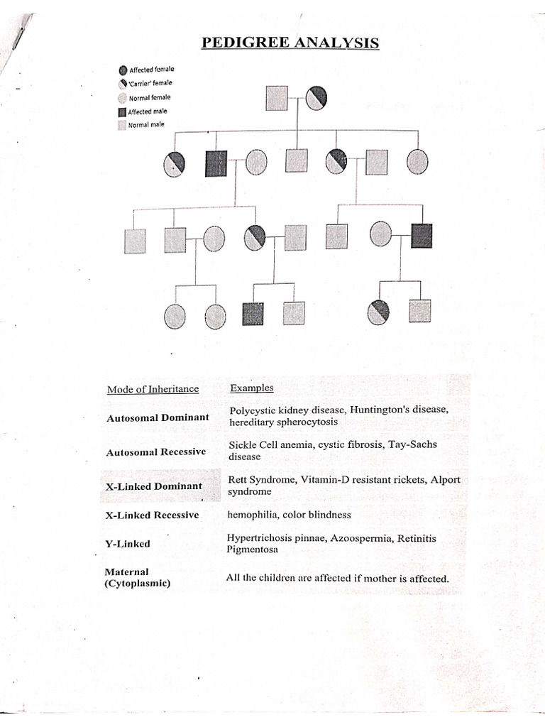 Pedigree Analysis | PDF