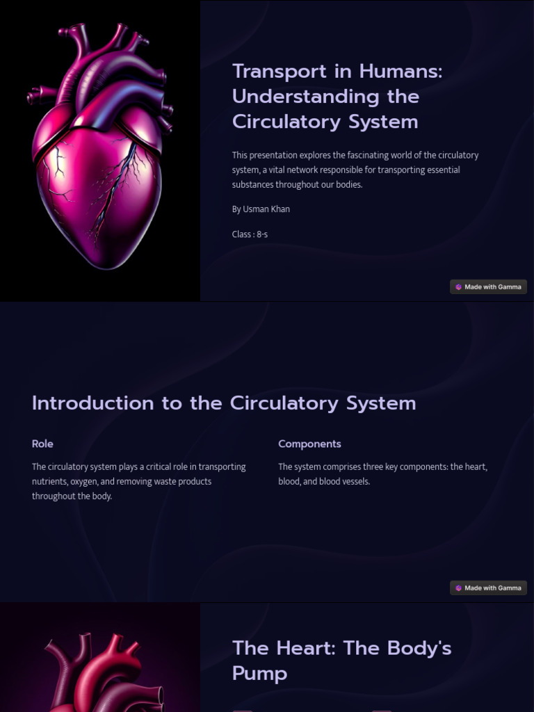 Transport in Humans Understanding The Circulatory System | PDF ...
