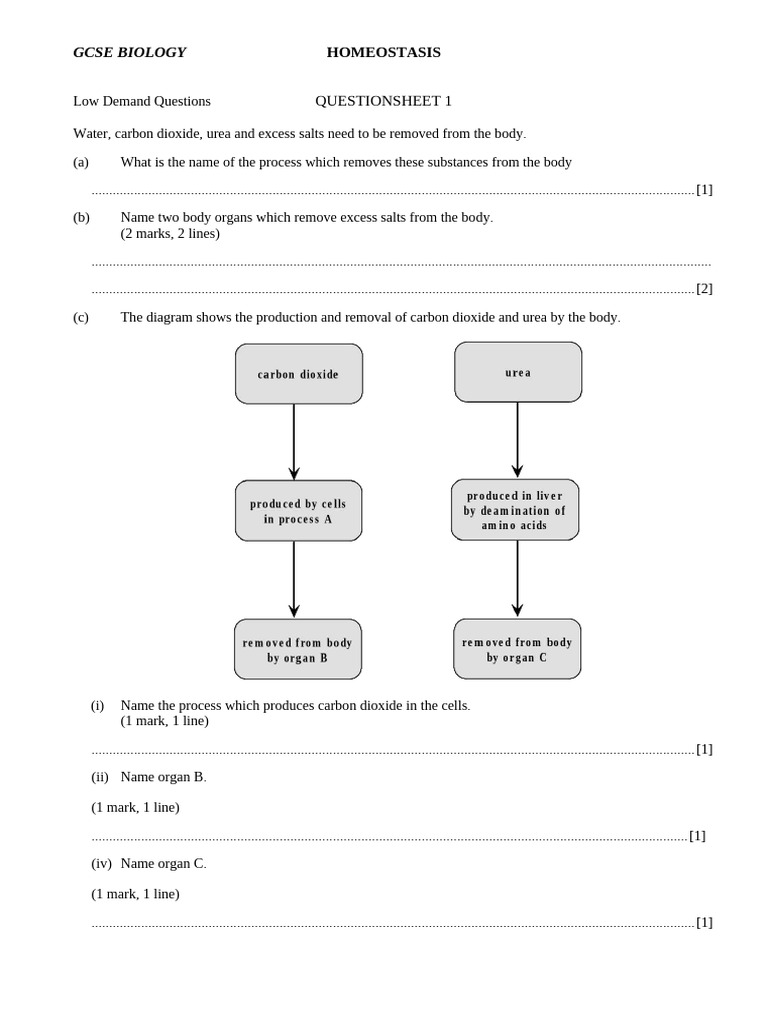 Homeostasis Questions | PDF | Kidney | Homeostasis