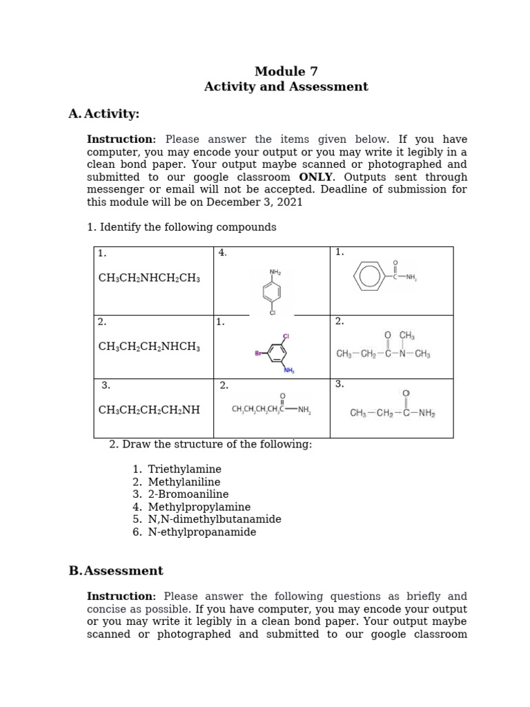 Module 7 Activity and Assessment | PDF