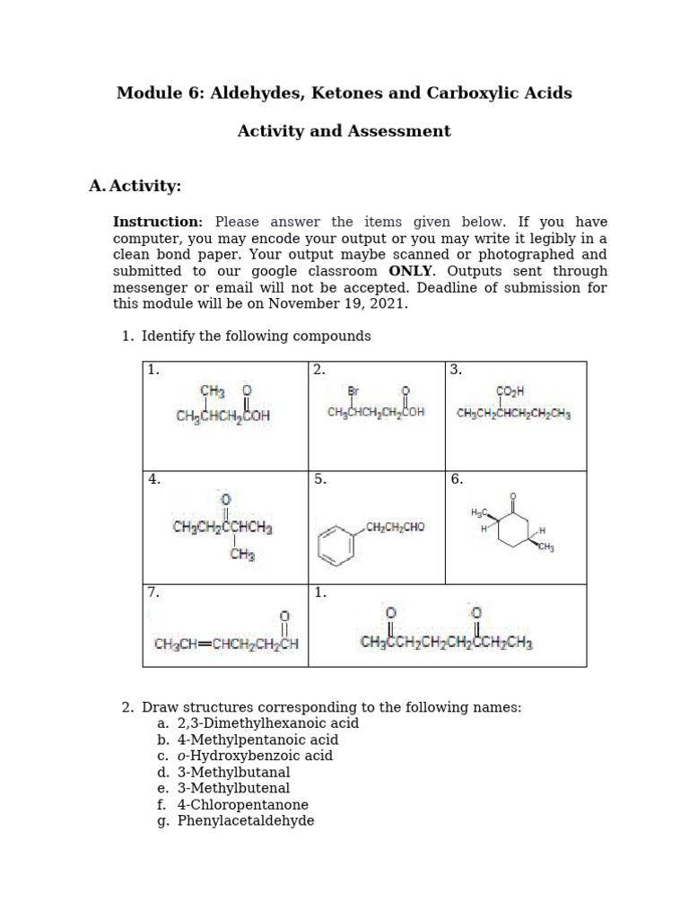 Module 6 Activity and Assessment | PDF