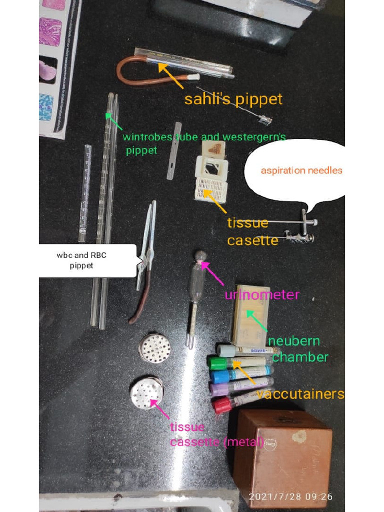 Patho Spotters | PDF