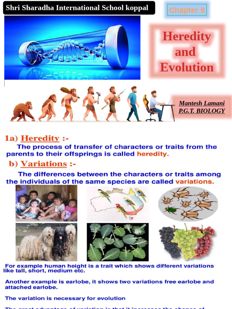 Heredity and Evolution - PPT - Downloaded | PDF