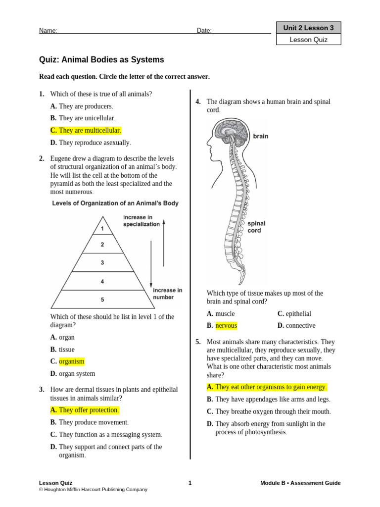 Animal Characteristics and Systems Quiz | PDF | Tissue (Biology) | Insects