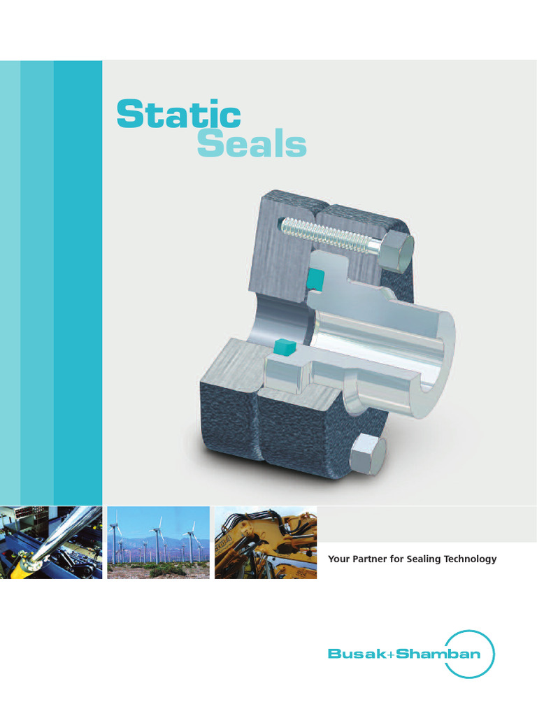 Busak+Shamban Static Seals | PDF | Materials