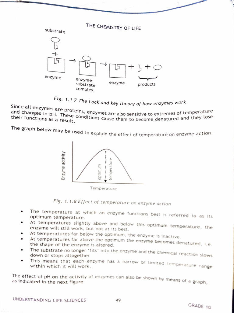 Adobe Scan 07 May 2024 (3) | PDF | Enzyme | Molecular Biophysics