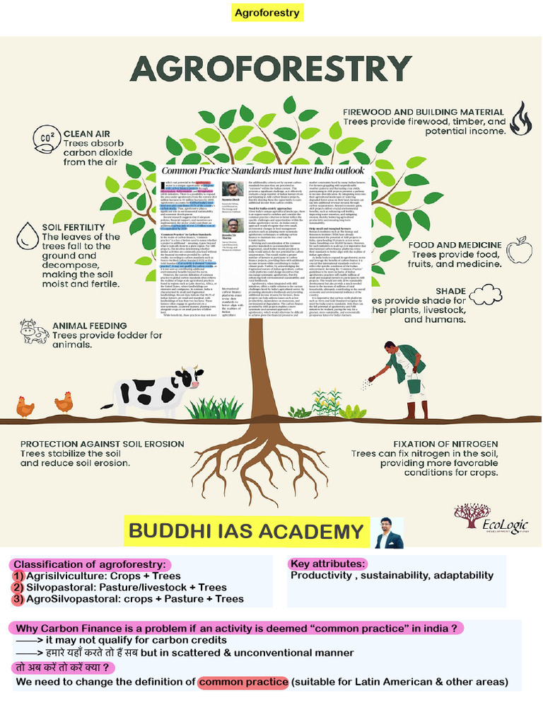 Agroforestry PDF | PDF