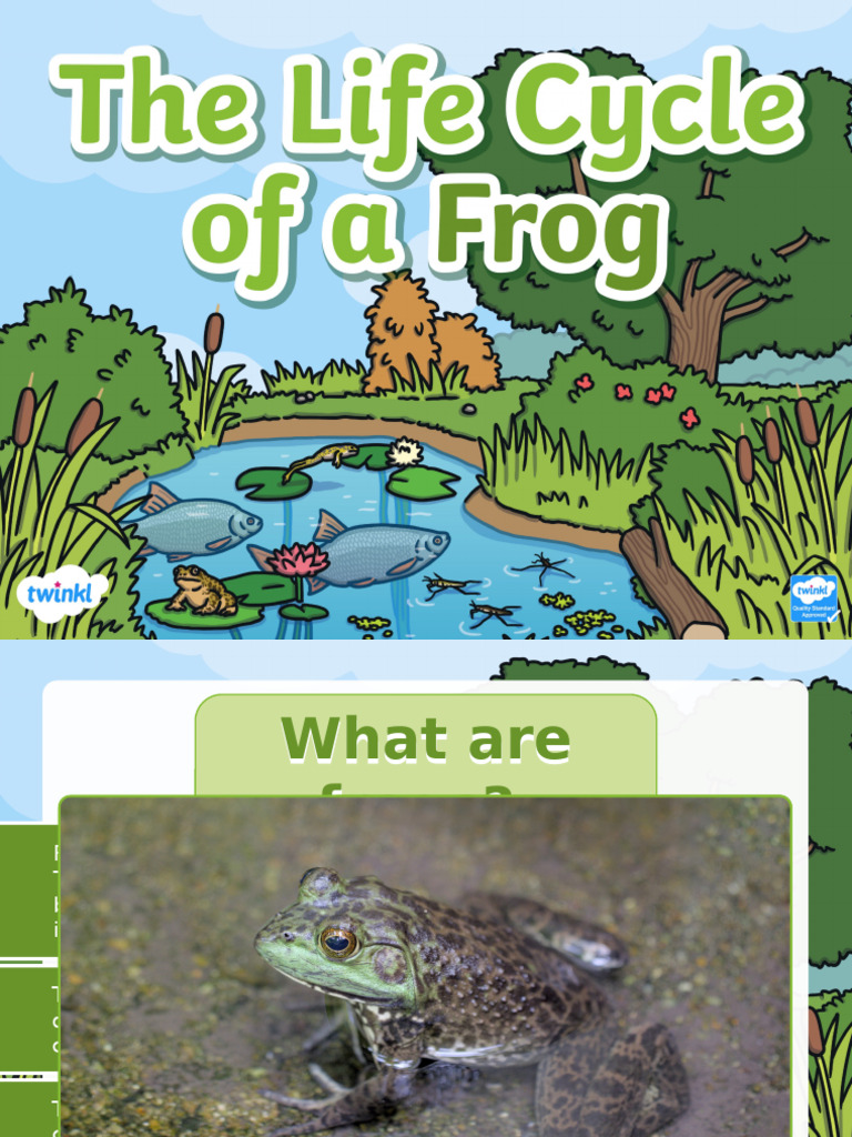 T T 5230 Life Cycle of A Frog Powerpoint Ver 6 | PDF | Frog ...