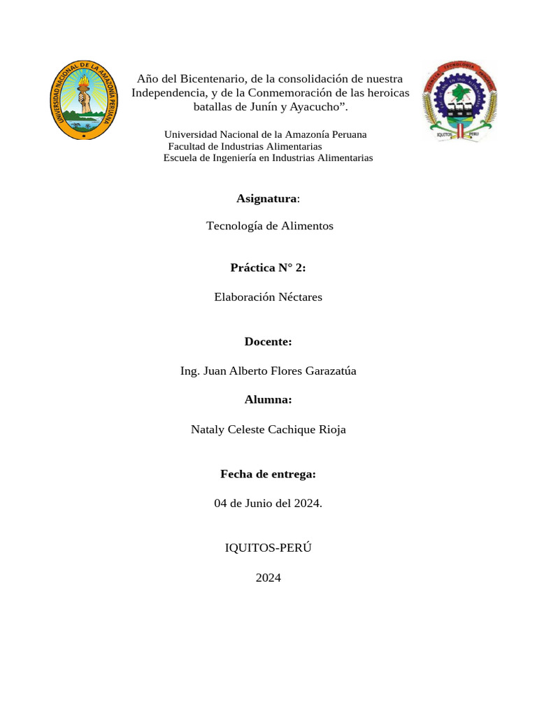 Informe N°2 Elaboración de Néctares - Nataly Celeste Cachique Rioja ...