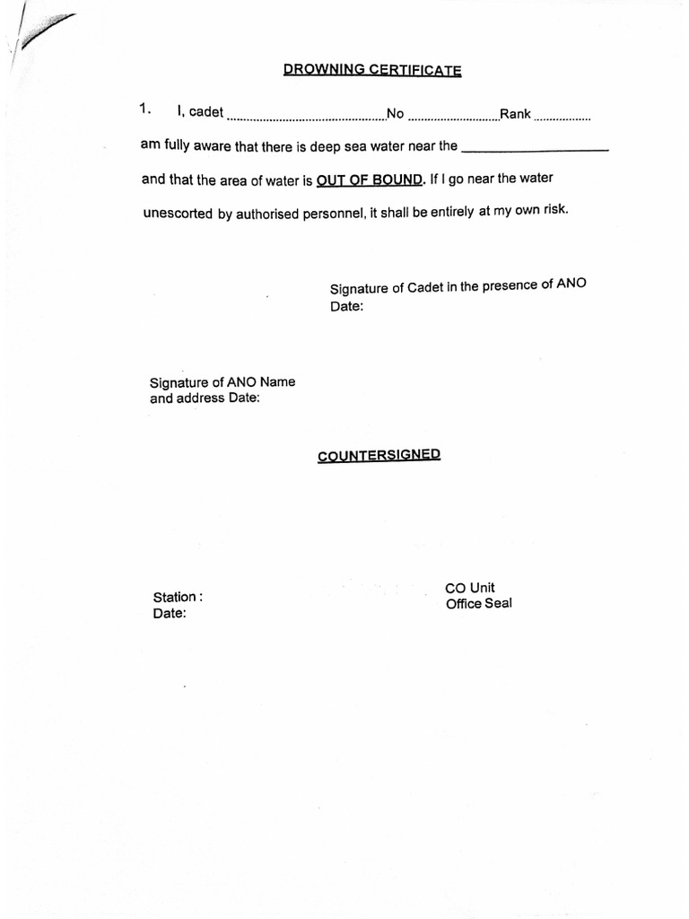 AINSC Camp Performa | PDF