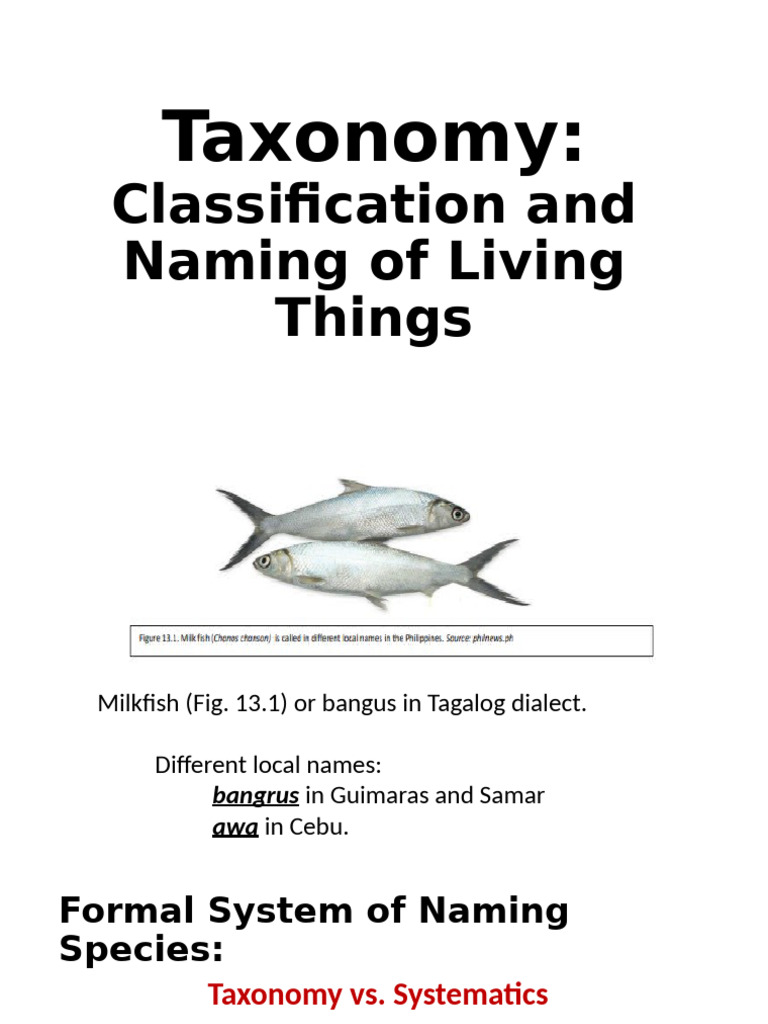 Taxonomy Phylogenetic Tree and Cladistics DISCUSSION | PDF | Clade ...