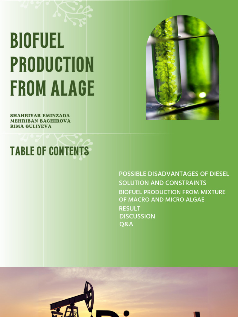 Biofuel Production From Algae - PPTX - 20240423 - 123344 - 0000 | PDF | Algae Fuel | Biofuel