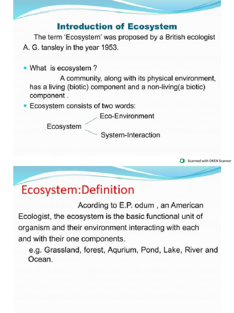 Structure and Function of Ecosystem | PDF