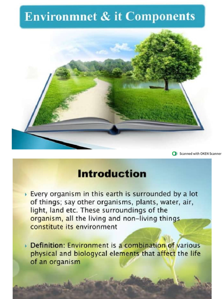 Components of Environment | PDF
