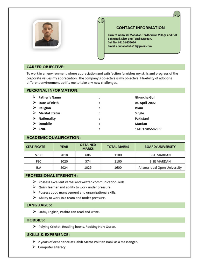 Abdullah CV | PDF