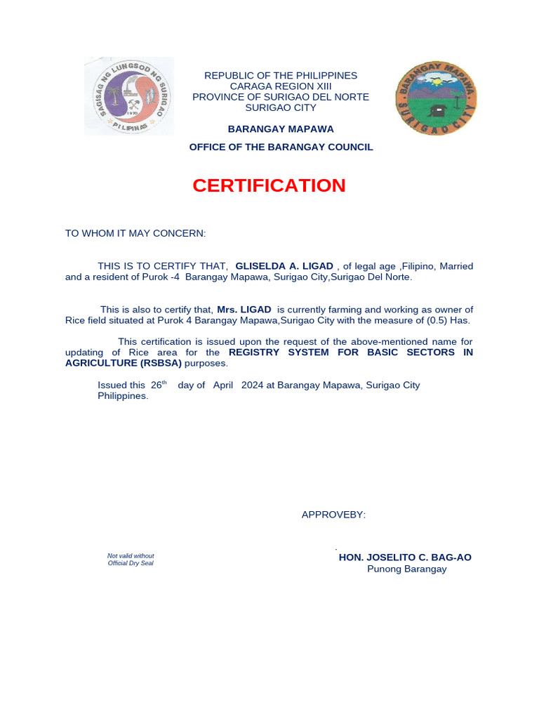 Certification For Rice Field (Rsbsa) Agriculture | PDF