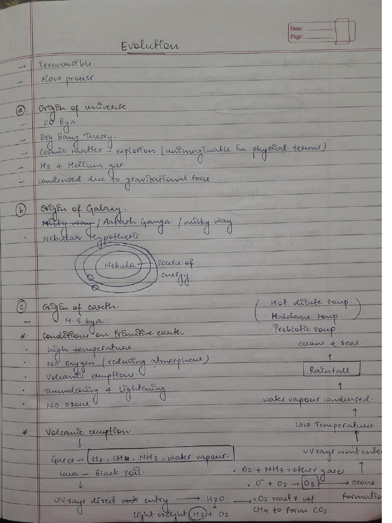 Class 12th evolution | PDF