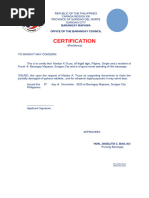 Barangay ID Sample 2025 | PDF
