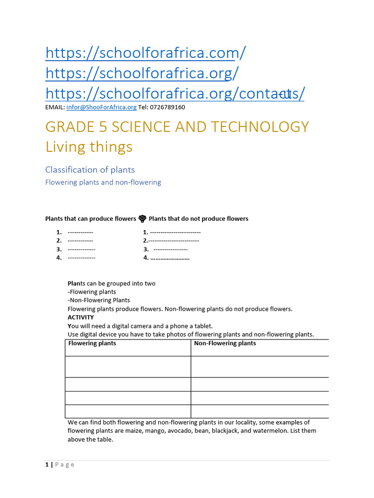 Classification of Living Things for Grade 5 | PDF | Fungus | Mushroom