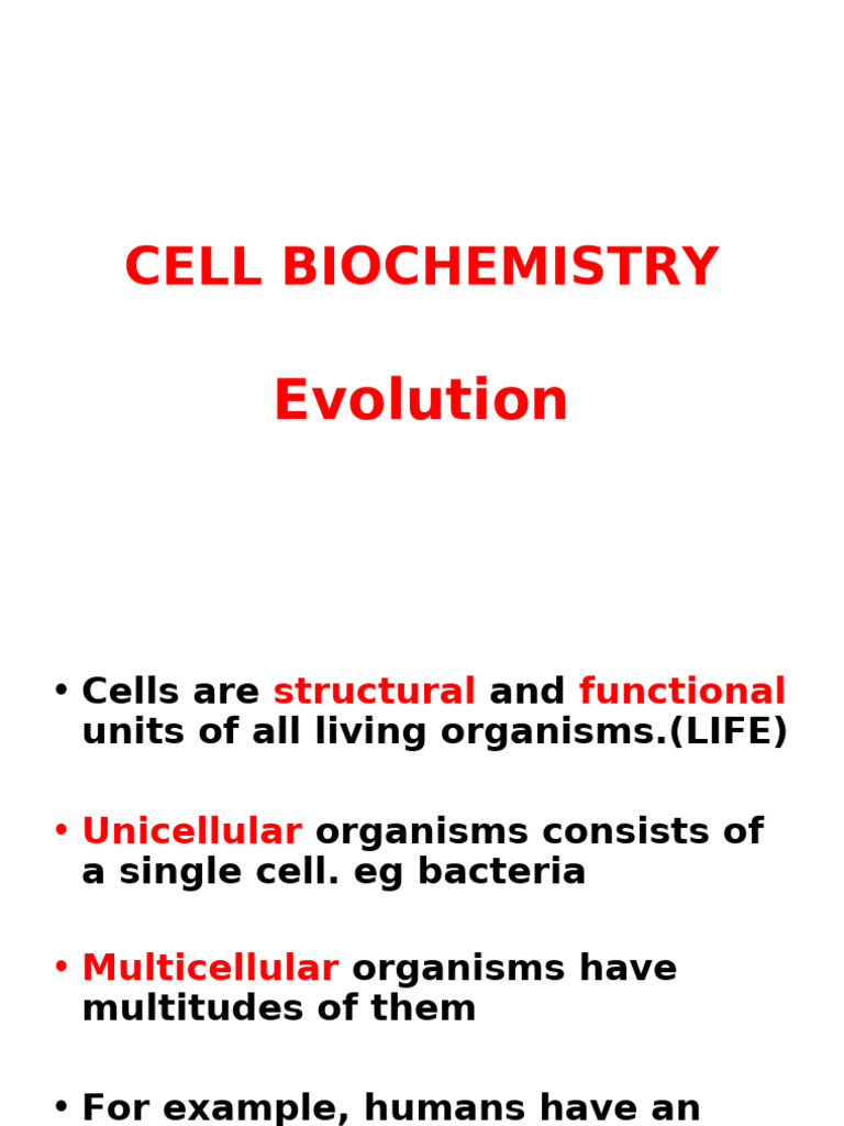 The Cell Evolution | PDF | Endoplasmic Reticulum | Cell (Biology)