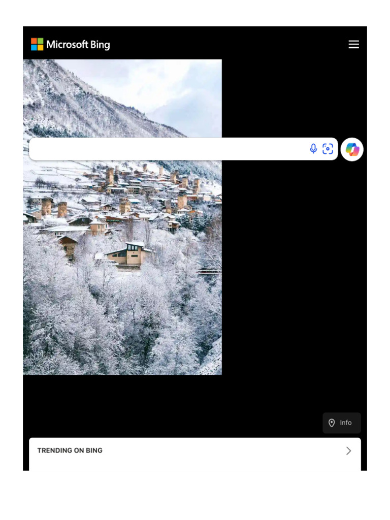 Search - Microsoft Bing | PDF