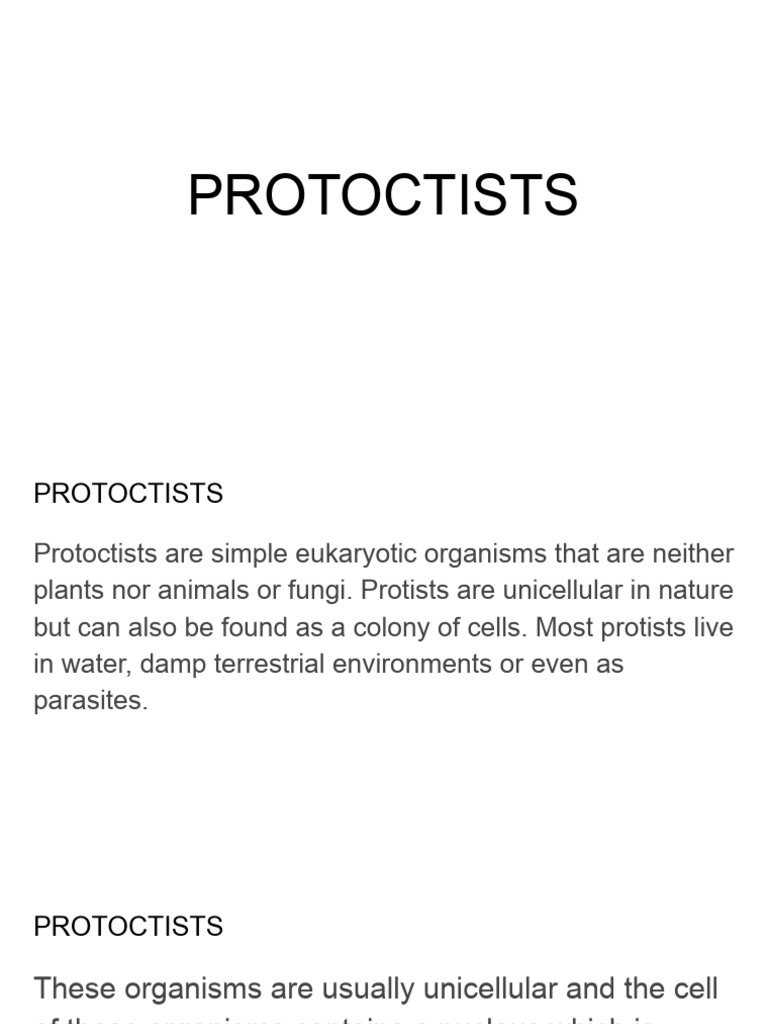 Characteristics of Protoctists Explained | PDF