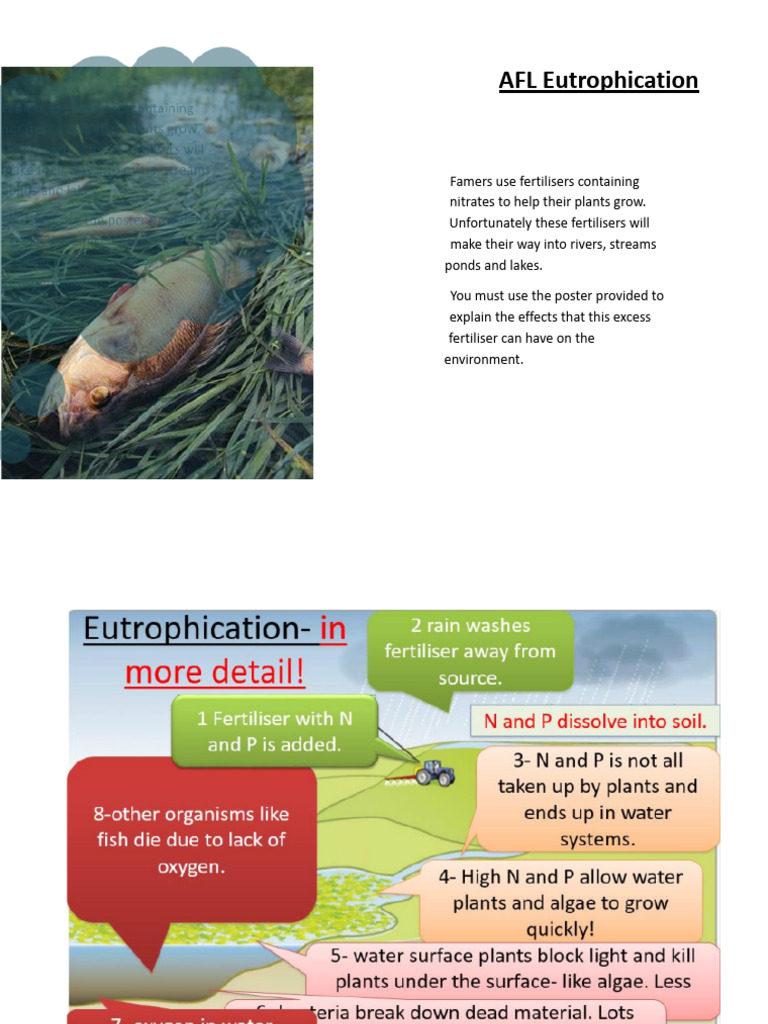 AFL Eutrophication | PDF