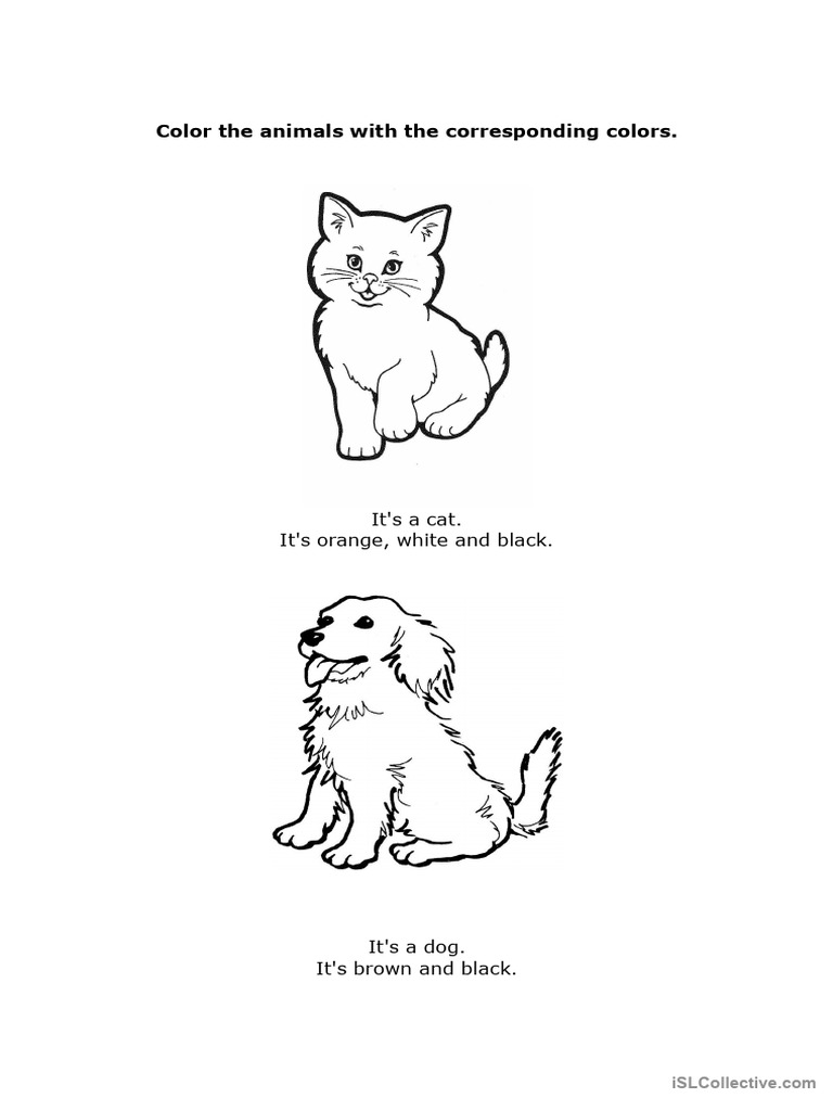 COLOR THE ANIMALS (1) | PDF