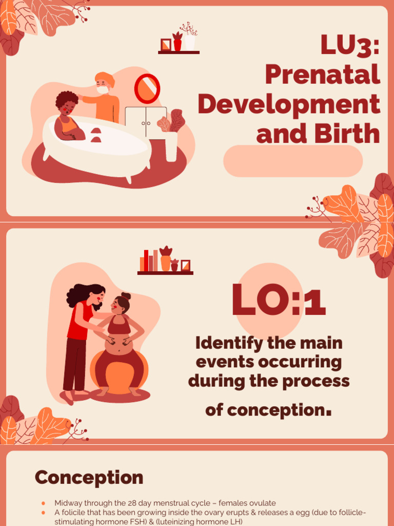 Devolpmental Psych LU3 - T1 | PDF | Prenatal Development | Pregnancy