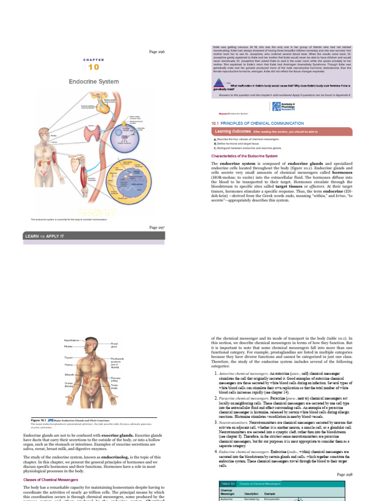 Endocrine System | PDF | Hormone | Endocrine System