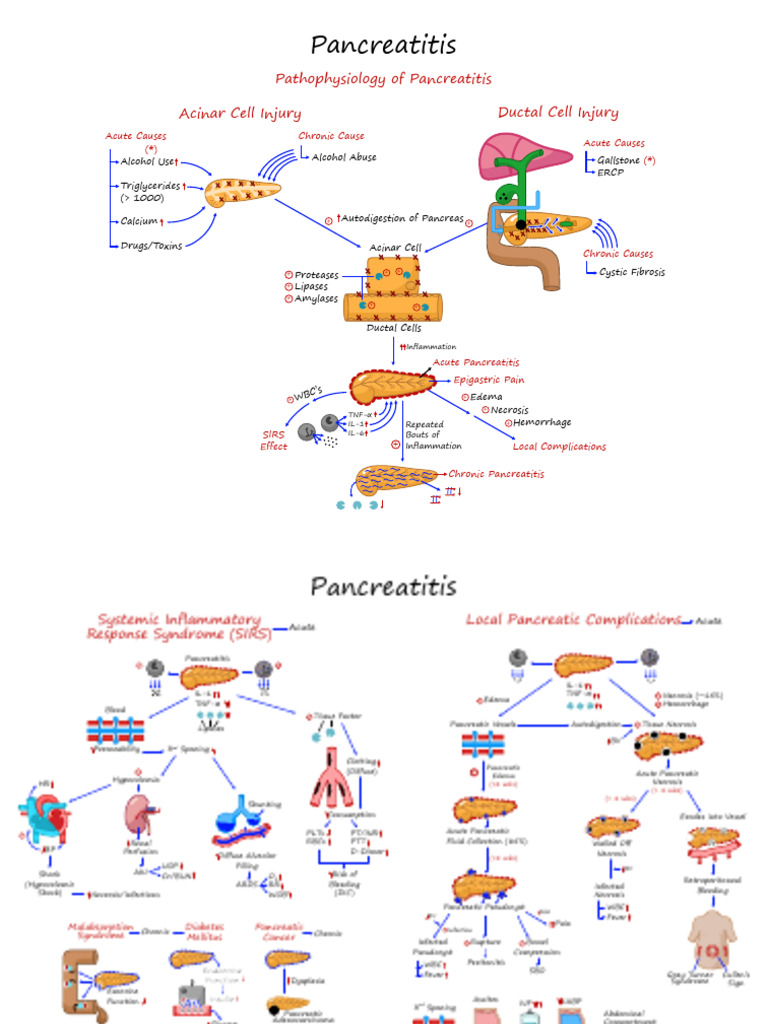Pancreatitis Pathophysiology Guide | PDF | Pancreas | Medical Specialties