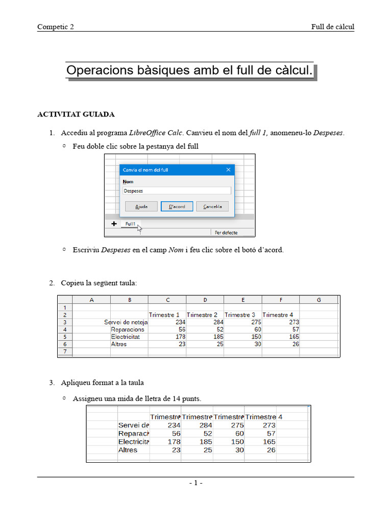 CO3 ActivGuiadaOperBasiques | PDF