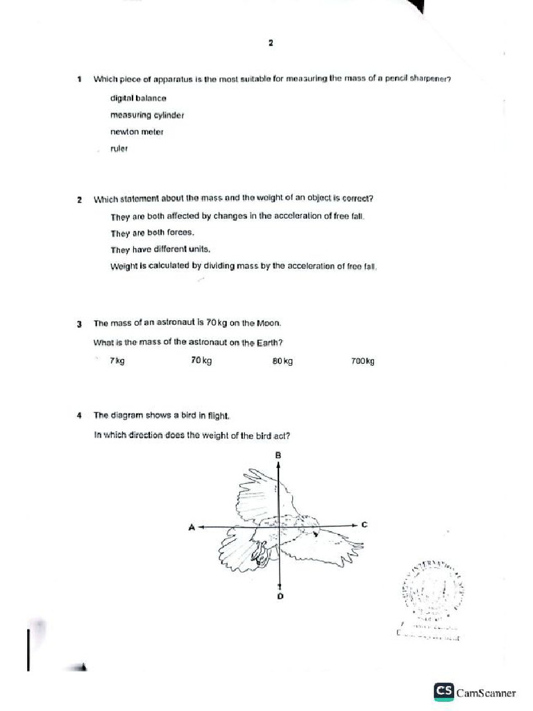 Y9 Physics P2 Unsolved | PDF