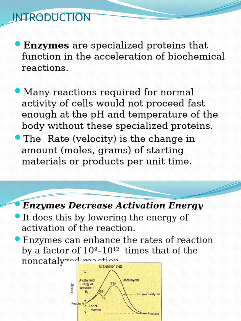 Enzymology Lecture Note | PDF | Enzyme | Cofactor (Biochemistry)