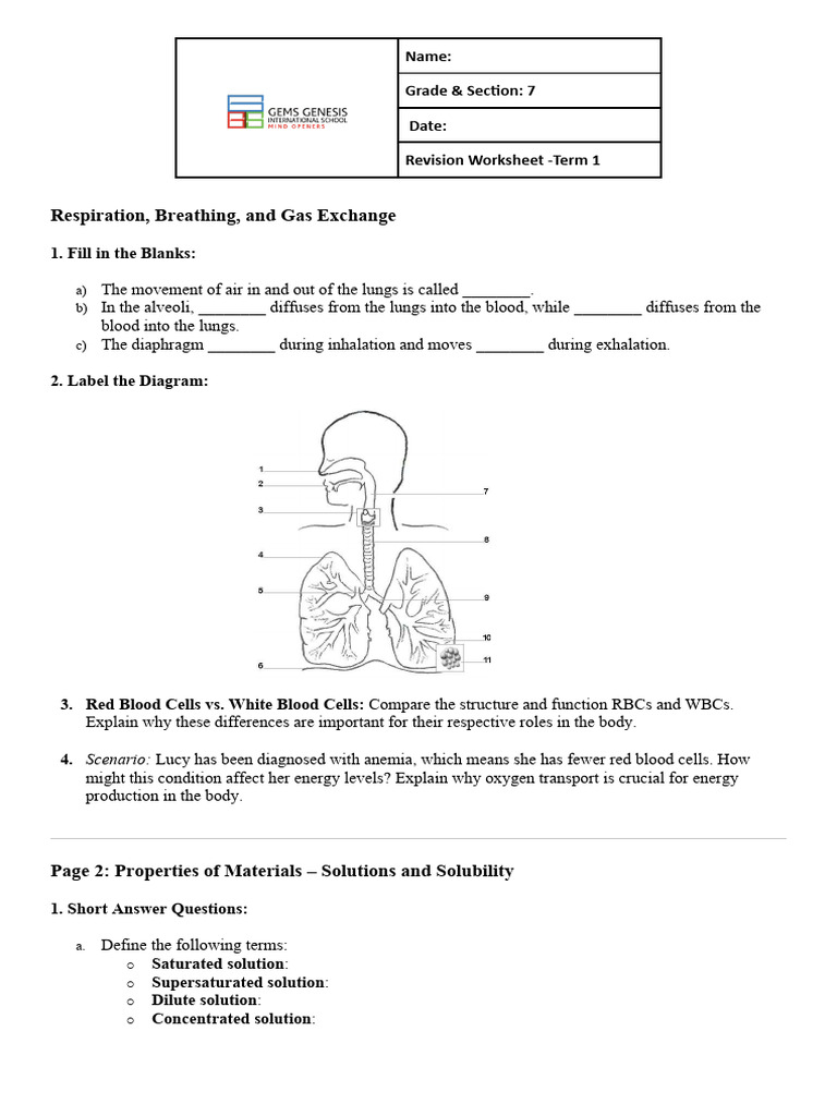 GR 7 Revision Worksheet - Term 1 Err | PDF | Pressure | Breathing