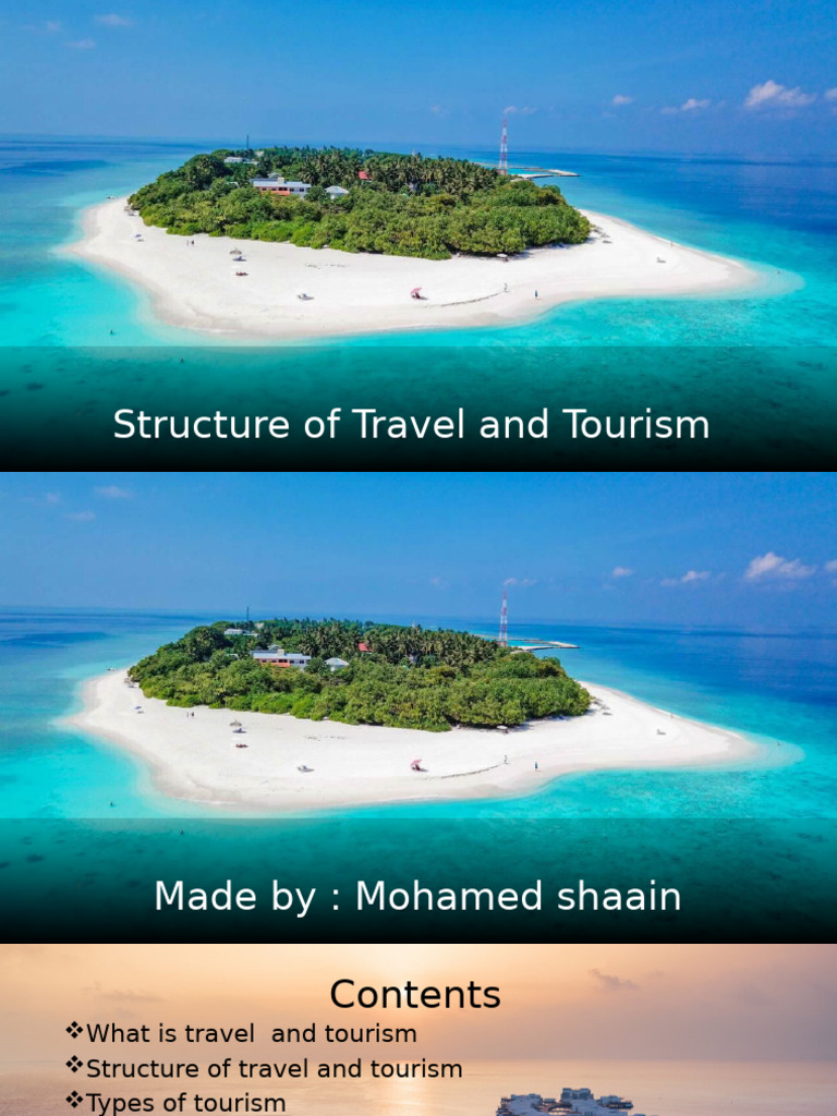 Structure of Travel and Tourism | PDF