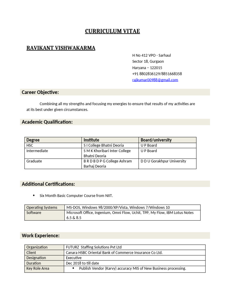 R(CV) | PDF | Computing | Software