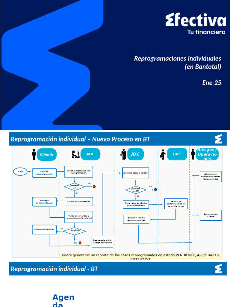 Reprogramación Individual en BT | PDF