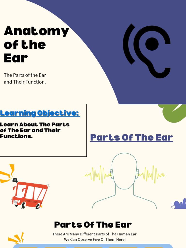 Ear Presentation (1) | PDF | Ear | Hearing