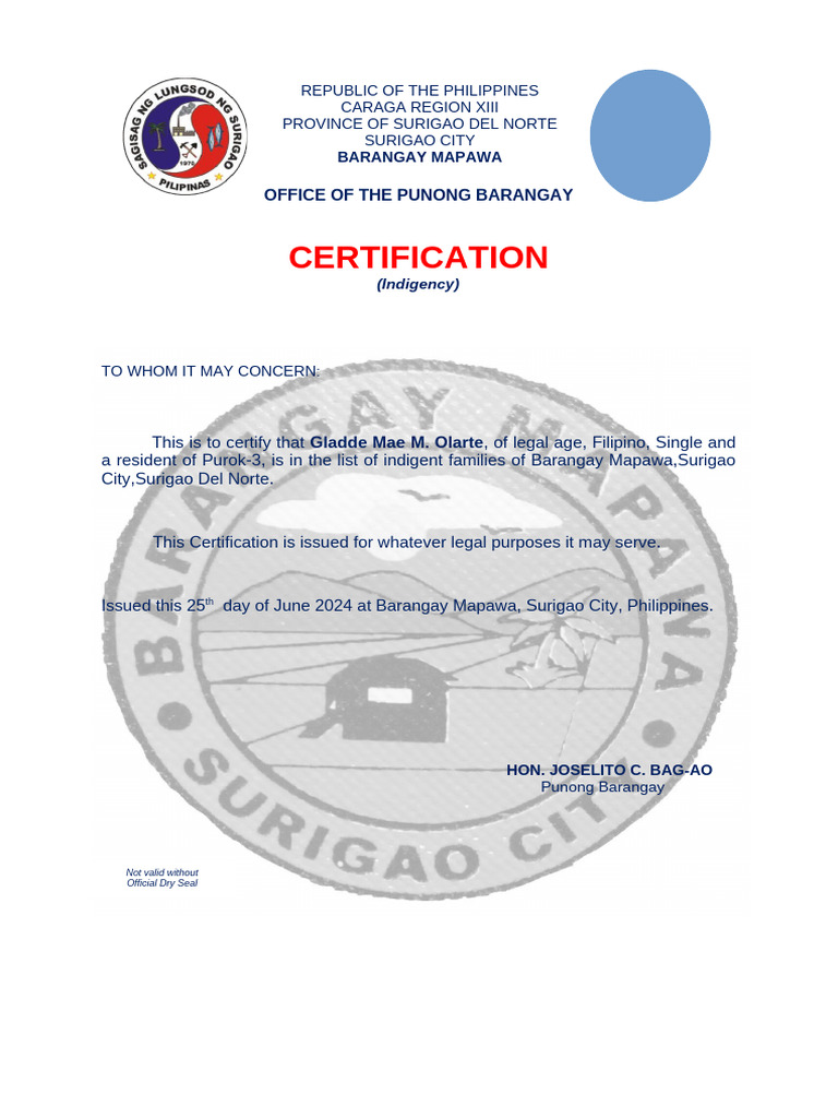 CERTIFICATE OF INDIGENCY For 4ps - New | PDF