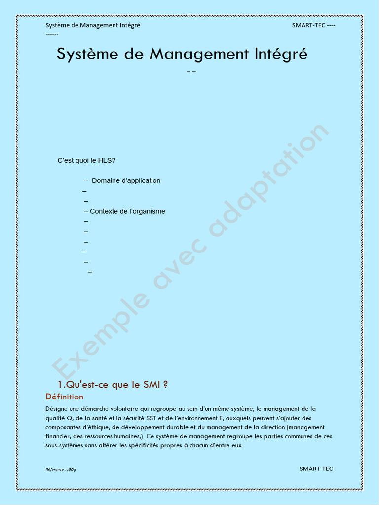 Mise en Place d'un Système de Management Intégré | PDF | Management de ...
