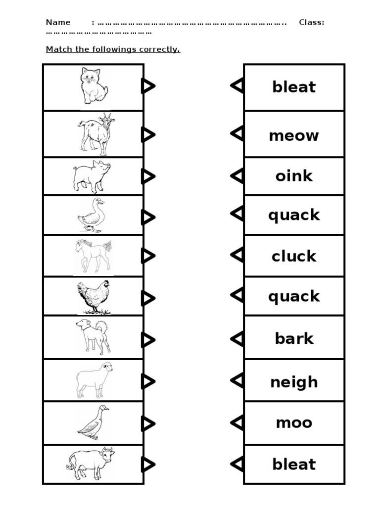 Animal Sounds Matching Activity | PDF | Language Arts & Discipline ...