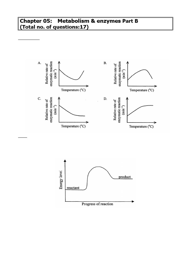 Chapter 05 Metabolism - Enzymes - Part B No Ans | PDF | Catalase | Enzyme