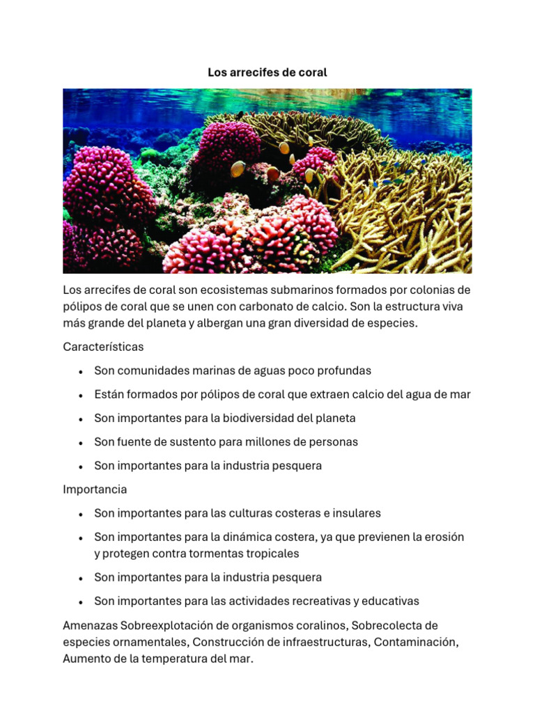Los arrecifes de coral | PDF