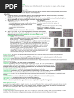 OCR A-Level Biology Module 2 Guide | PDF | Nucleotides | Nucleic Acids