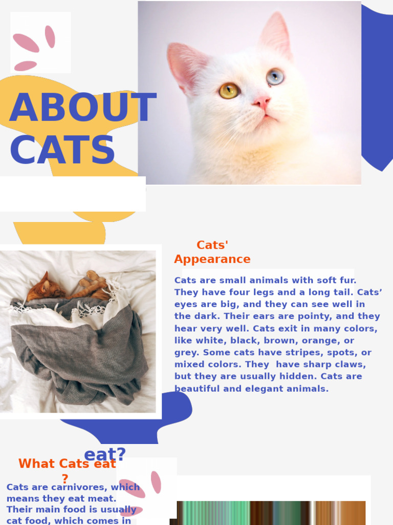 Understanding Cats: Behavior and Care | PDF