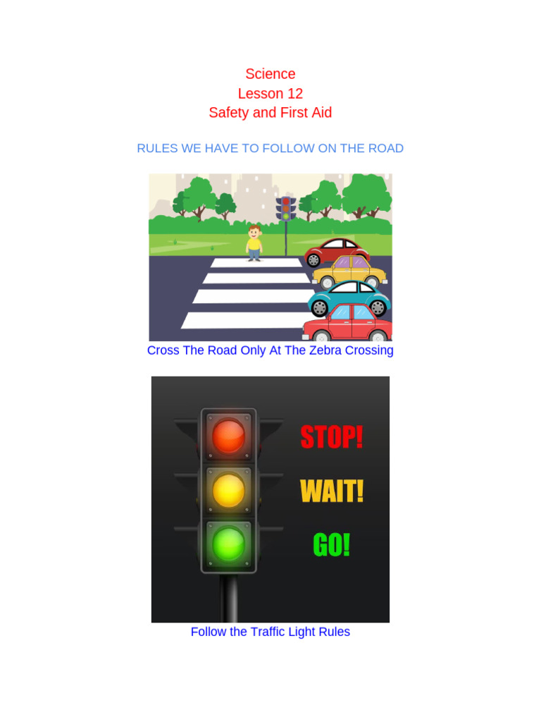 Science Lesson 12 Safety and First Aid | PDF