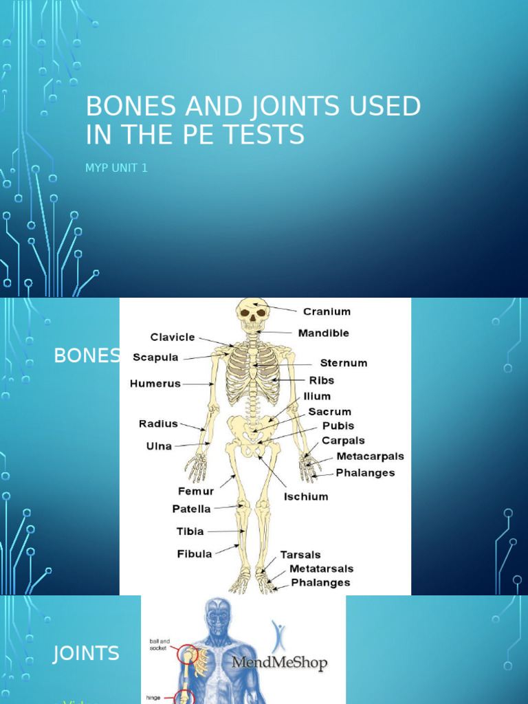 Bones and Joints in PE Tests | PDF